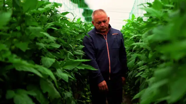 Microsed Geo de la Chemark Rom – produsul 2 în 1 care combină perfect ...