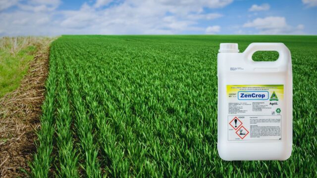 Zencrop, de la Agrii, combate buruienile monocotiledonate din lanurile ...