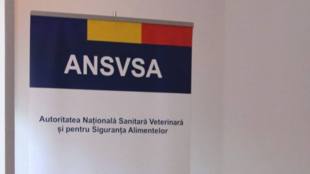 ANSVSA angajează! Posturi libere în cadrul instituției – ghid de aplicare