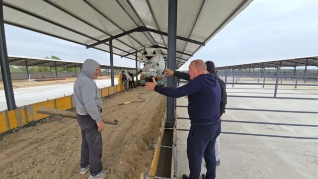 Cum arată ferma de vaci Angus a lui Gigi Nețoiu: ”Este cea mai modernă ...