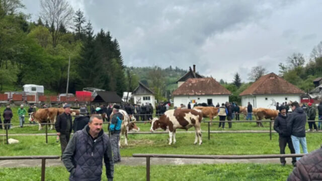 Taxele achitate de fermieri pentru a-și vinde animalele la târg