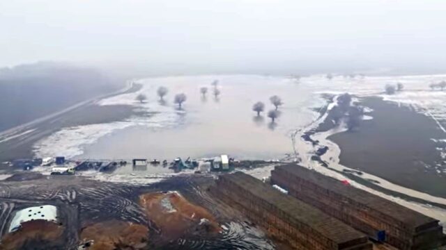 Gigi Nețoiu se chinuie să își salveze animalele din ferma inundată ...