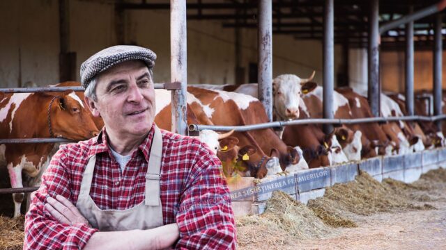 APIA a început eliberarea adeverințelor pentru crescătorii de animale ...